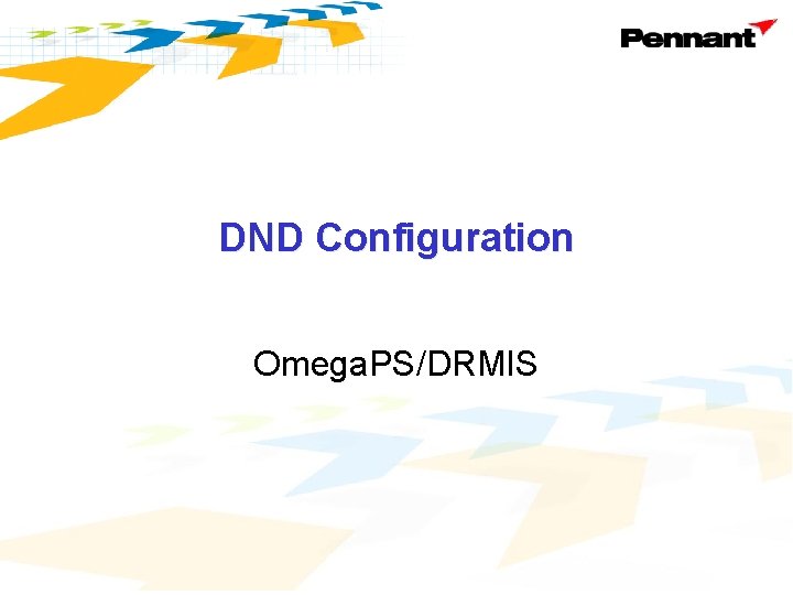DND Configuration Omega PSDRMIS Outline Background Specifics of
