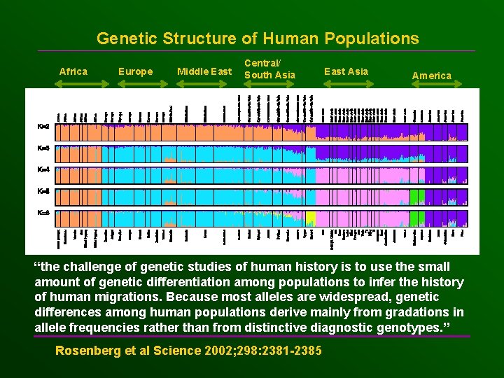 Genomic Definition of Self and Group Identity Implications