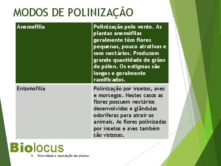 Biolocus Diversidade e reproduo das plantas CARACTERSTICAS GERAIS
