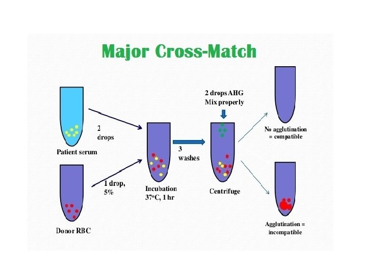 Blood transfusion Indications Selection of Donor criteria Cross