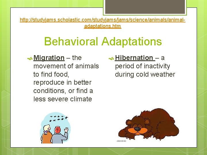 Adaptations and Survival Melanie Hardy 6 th Grade
