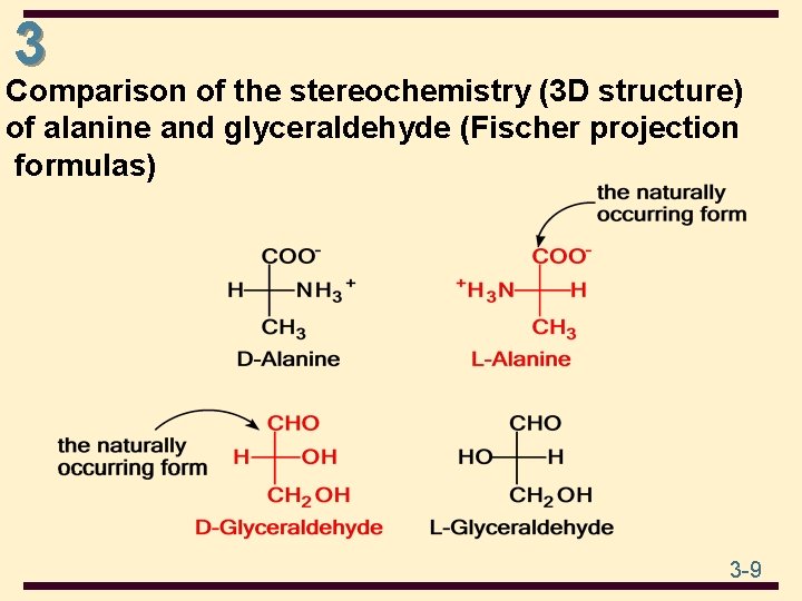 3 LECTUR Amino acid and Peptides DOCTOR Nabil