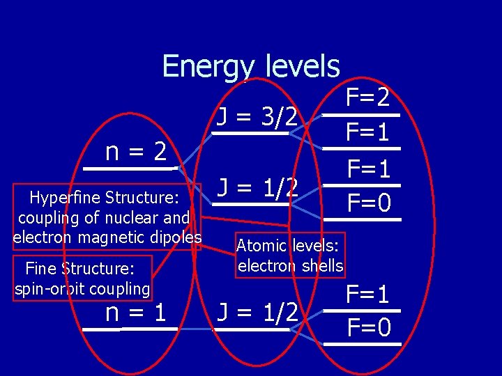 Spectral Lines Robert Minchin Spectral Lines What is