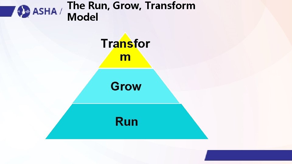 ASHAs Envisioned Future 2025 and the Strategic Pathway