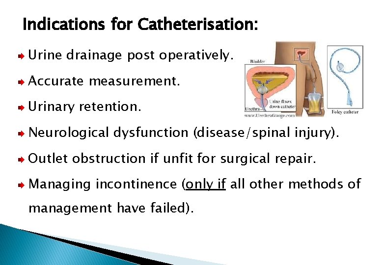 CATHETERIZATION AND CATHETER CARE Fadi Jehad Zaben RN