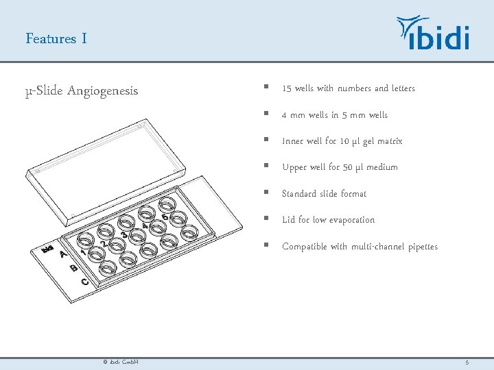 Integrated Bio Diagnostics Product information Slide Angiogenesis ibidi