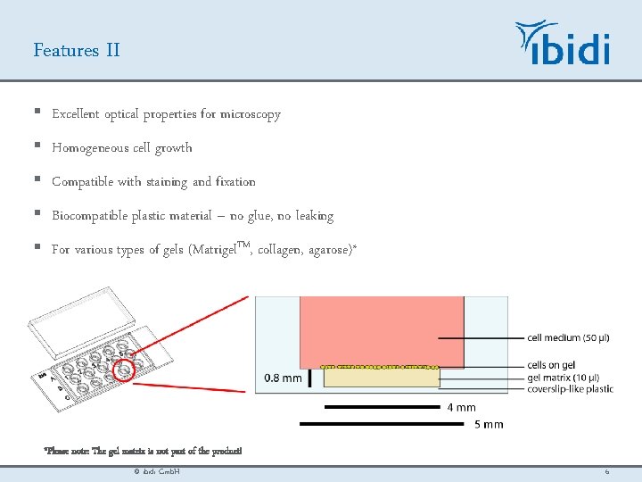 Integrated Bio Diagnostics Product information Slide Angiogenesis ibidi