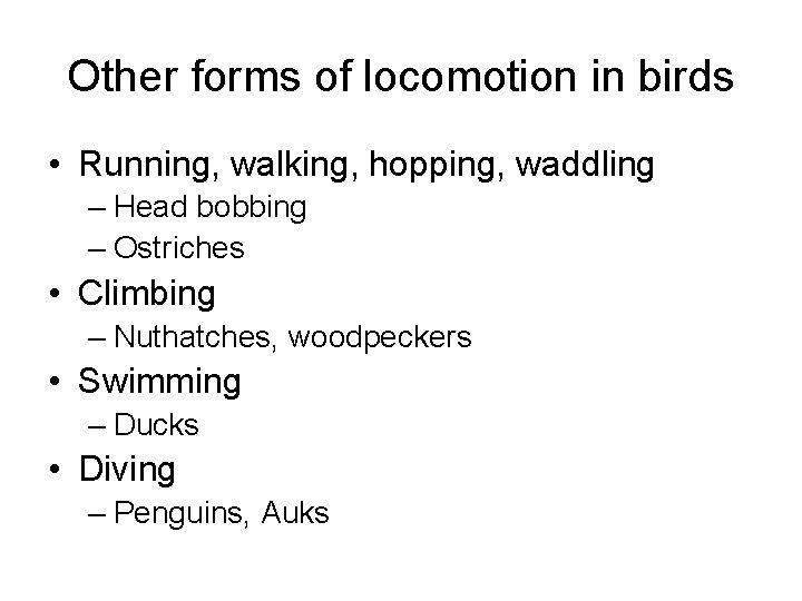 Flight and other locomotion in birds Lift of