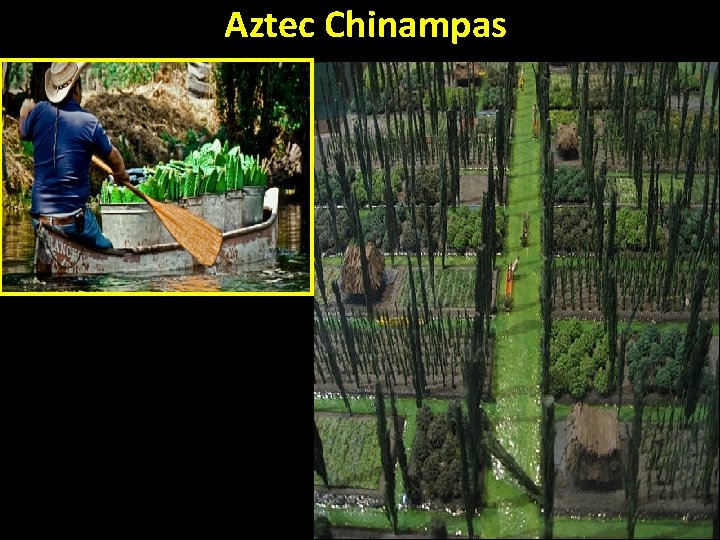 Aim How should we remember the Aztecs and