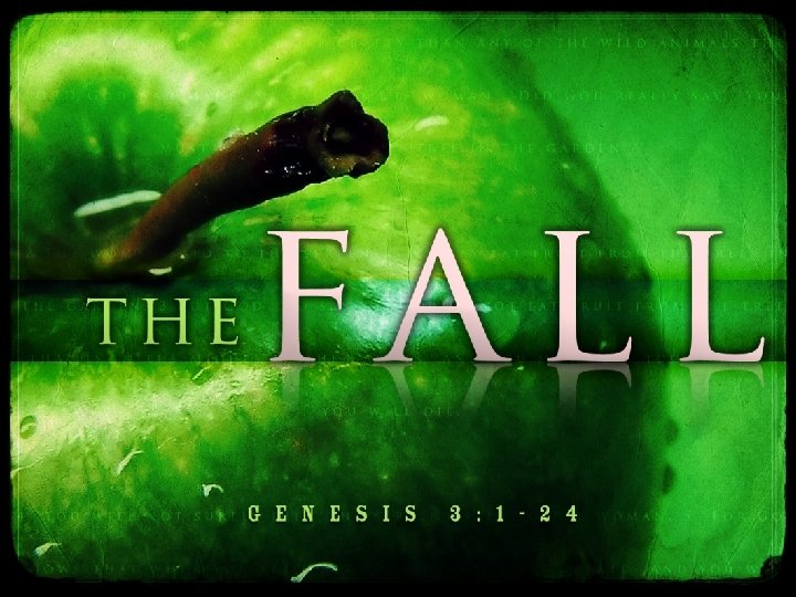 Genesis 2 16 17 The story of the