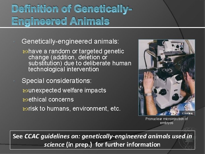 CCAC TRAINING MODULE ON GENETICALLYENGINEERED FARM ANIMALS Species