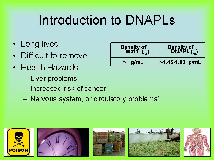 Multiphase Fieldscale Modeling Brine Transport Ann Cook Per
