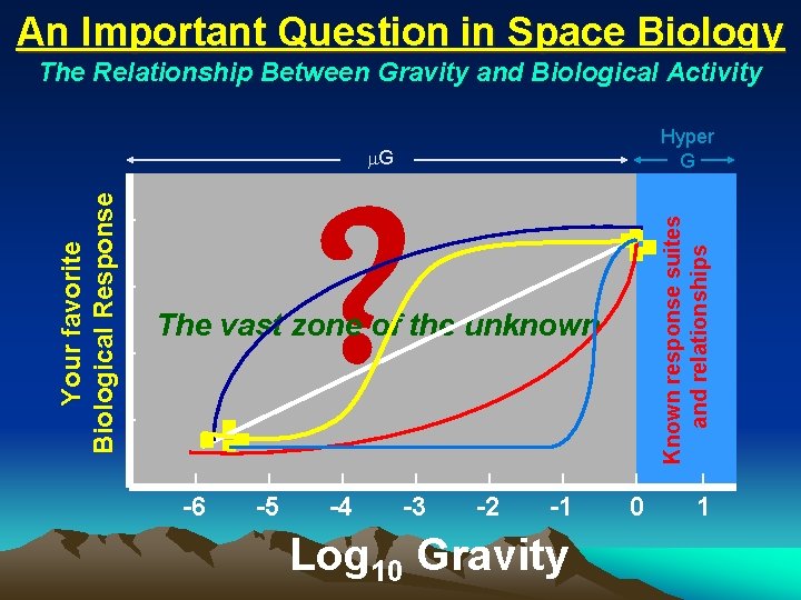 Terrestrial Life in Space What Can We Learn