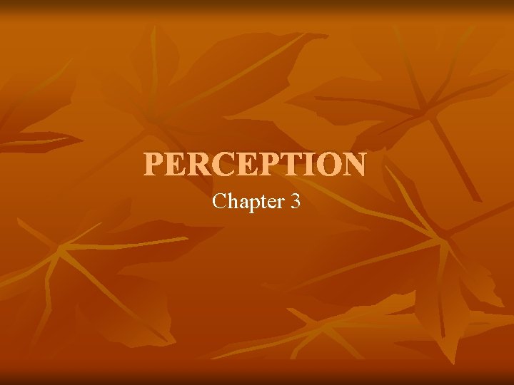 PERCEPTION Chapter 3 Perception n What is it