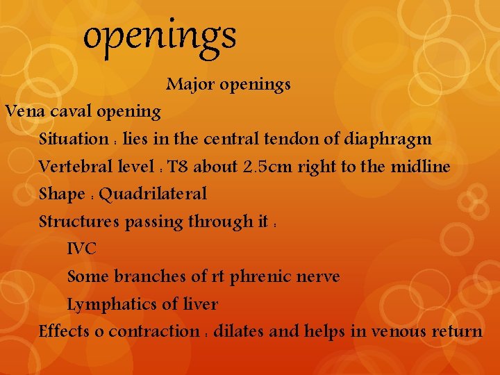 ANATOMY OF Diaphragm BY Dr Manjula vastrad asst