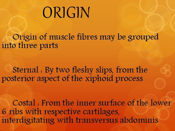 ANATOMY OF Diaphragm BY Dr Manjula vastrad asst