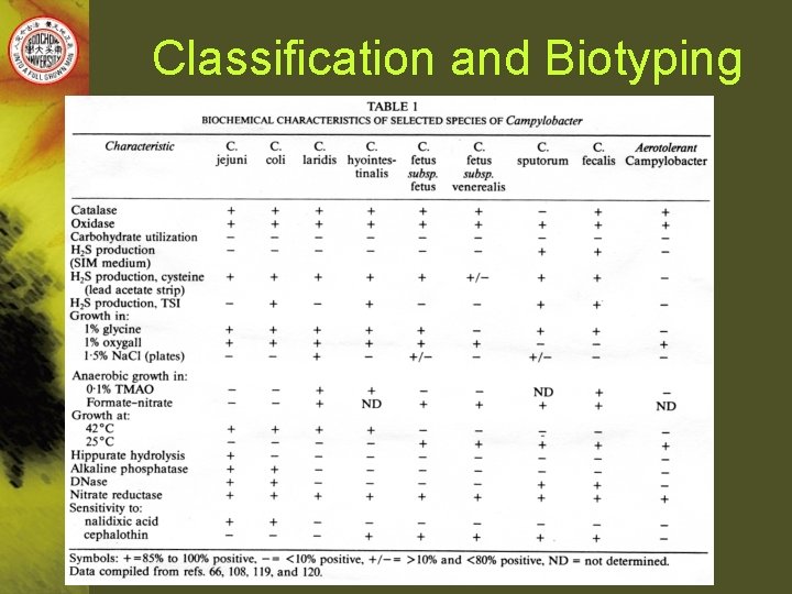 Campylobacter jejuni INTRODUCTION Campylobacter could be isolated from