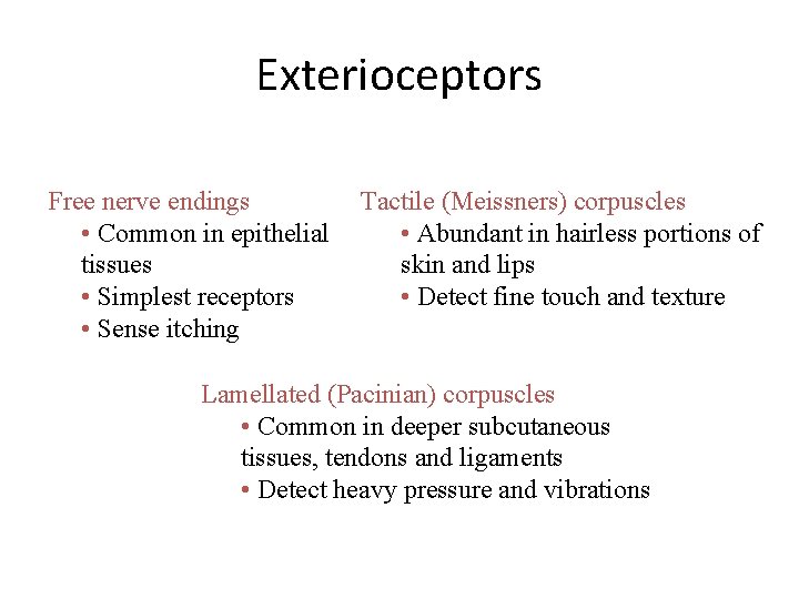 Nervous System III Chapter 12 Introduction General senses