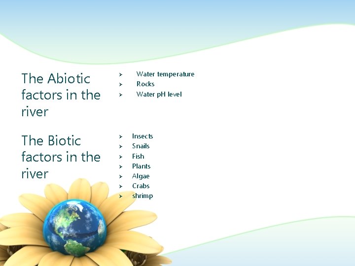 Freshwater Ecosystems By Jerrene and Nica Rivers What