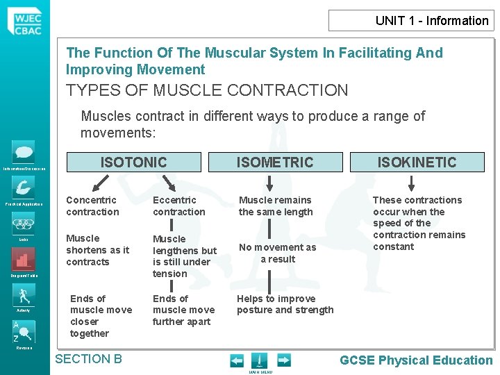 UNIT 1 Information The Function Of The Muscular