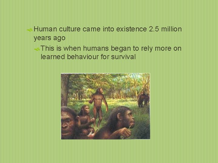 Beginning of Human Culture Chapter 3 Cultural Anthropology