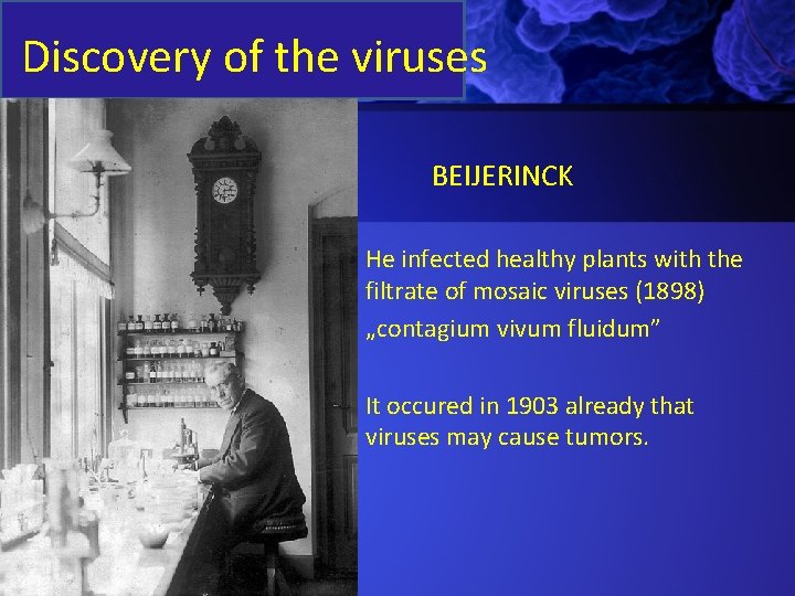 Oral infections 1 Dr Brdy Andrea Semmelweis Egyetem