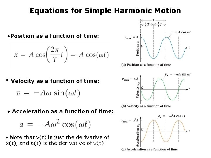 Physics 6 B Oscillations Prepared by Vince Zaccone