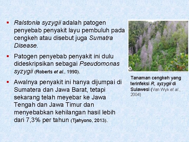 REVISI TAKSONOMI RALSTONIA SOLANACEARUM SPECIES COMPLEX PENYEBAB PENYAKIT