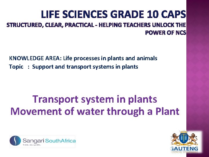 LIFE SCIENCES GRADE 10 CAPS STRUCTURED CLEAR PRACTICAL