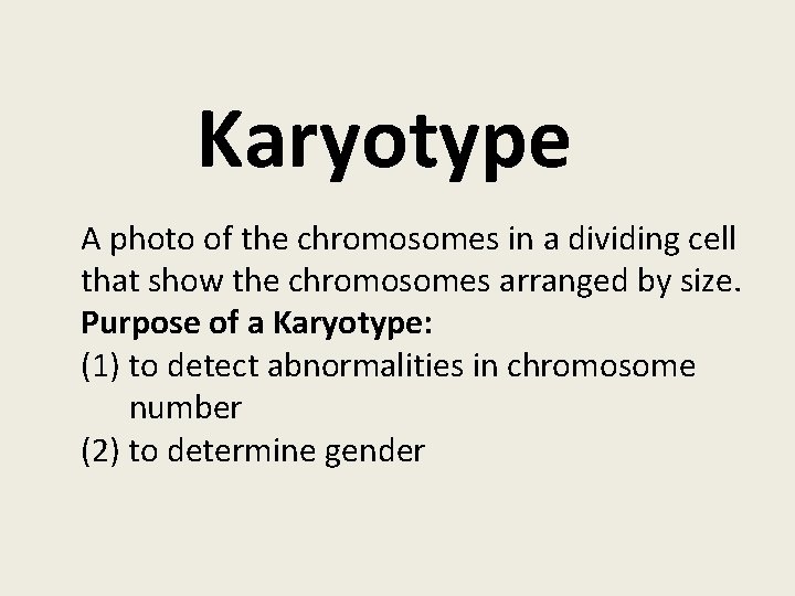 Karyotype A photo of the chromosomes in a