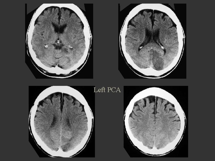 EVERYTHING A MEDICAL STUDENT SHOULD KNOW ABOUT A