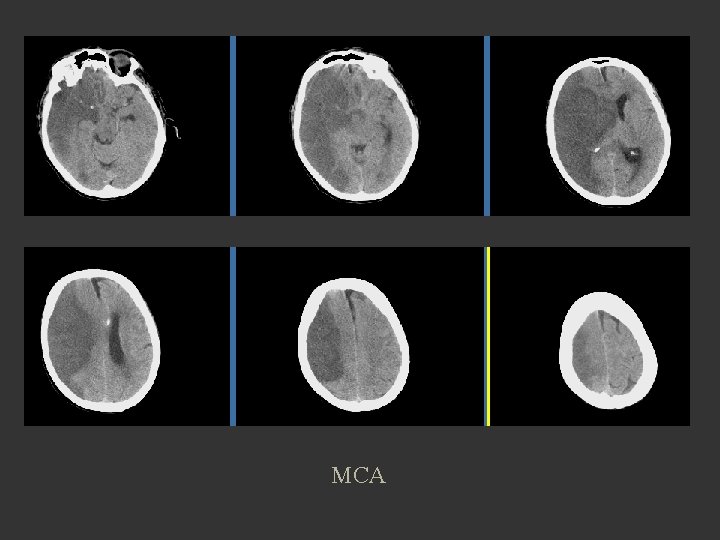 EVERYTHING A MEDICAL STUDENT SHOULD KNOW ABOUT A
