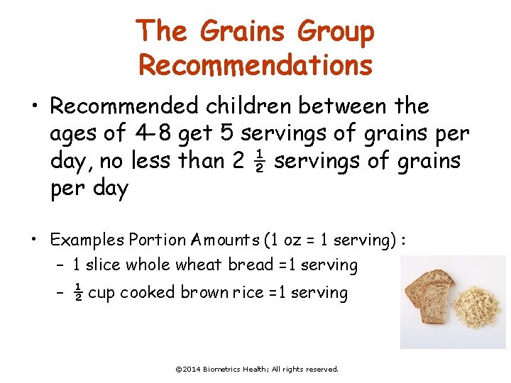 Guide to the Food Groups and My Plate
