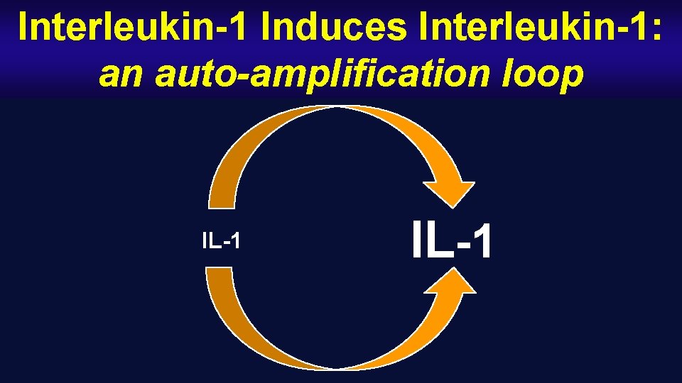 The Pathogenesis of Atherothrombosis and the Role of