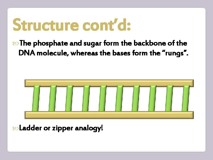DNA Structure Biology 12 DNA Facts Each cell