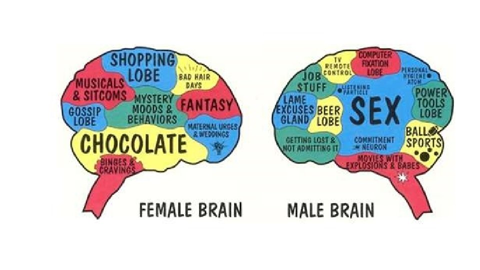 Issues and Debates Gender Structuring Issues and Debates