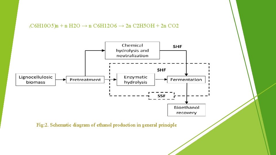 Production of bioethanol from wood biomass Muhammad Kamrul