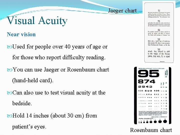 King Saud University College of Nursing Health Assessment
