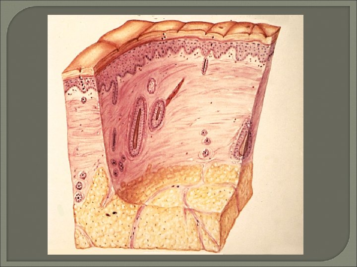 BURNS 30 yo patient transfered to your burn