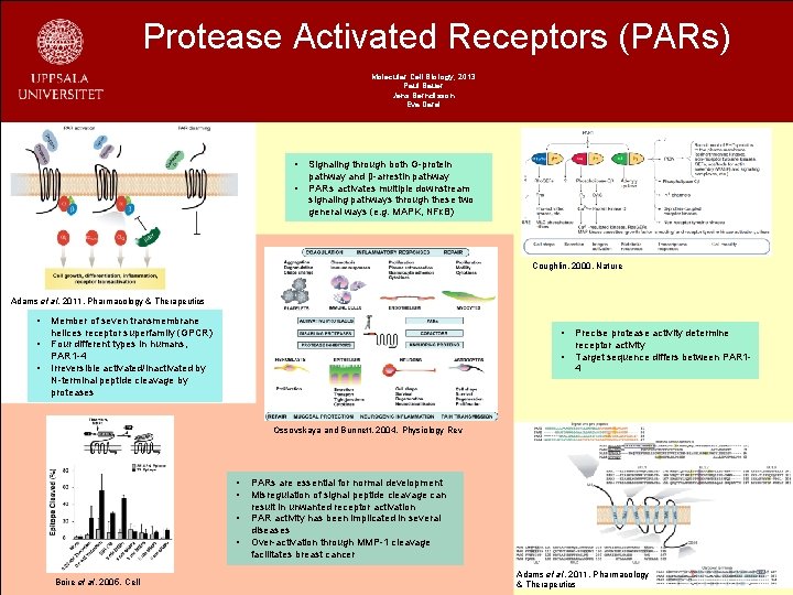 Protease Activated Receptors PARs Molecular Cell Biology 2013