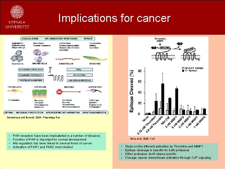Protease Activated Receptors PARs Molecular Cell Biology 2013