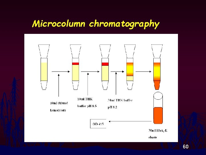 Laboratory Diagnosis in Thalassemia and Hemoglobinopathies Ahmad Shihada