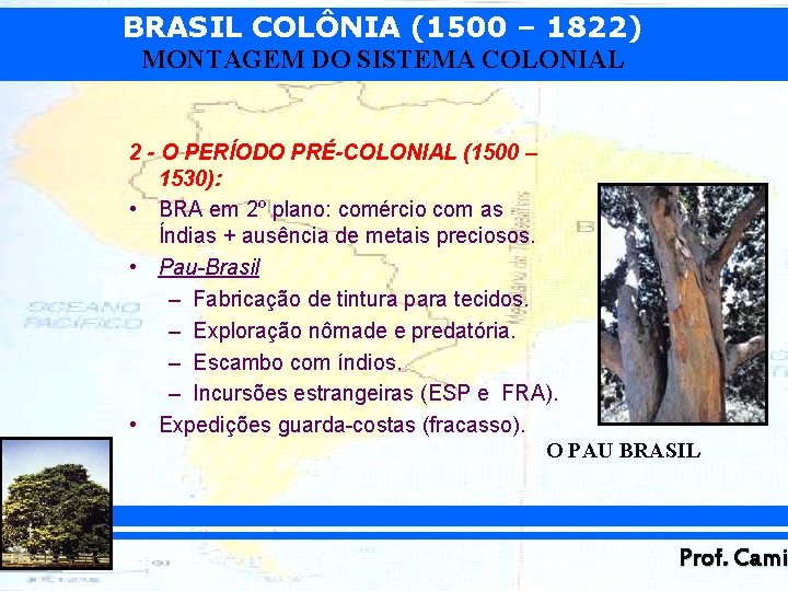 BRASIL COLNIA 1500 1822 MONTAGEM DO SISTEMA COLONIAL