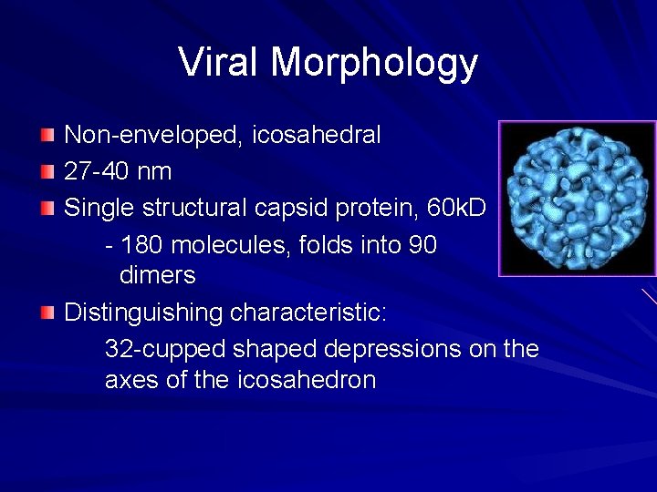 FAMILY CALICIVIRIDAE Noroviruses To Be Discussed Taxonomy structure