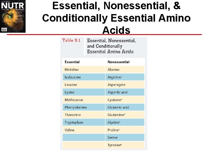 Protein Chapter 05 What Are Proteins Nitrogencontaining macronutrient