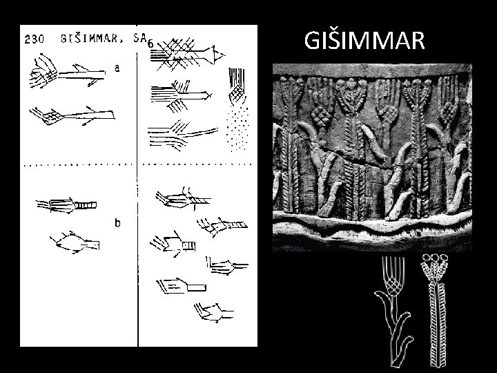 The Ethnobiology of the Warka Vase Naomi F
