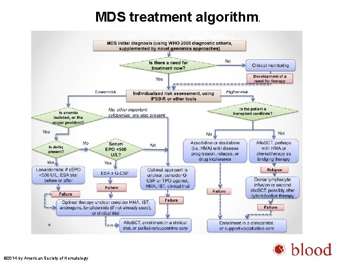 Myelodysplastic Syndrome MDS and Myelofibrosis Syndromes Whats Next