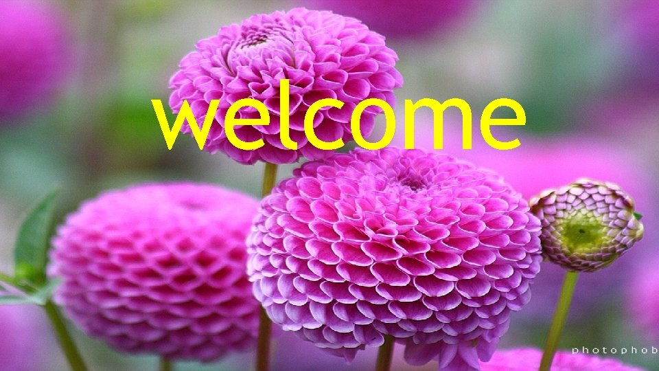 welcome Teachers Introducing Md Azim Uddin Assistant Teacher