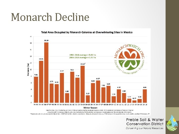 Pollinators Whats happening and what you can do