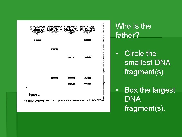 MODERN GENETICS Genetic Engineering gene DNA sequence that